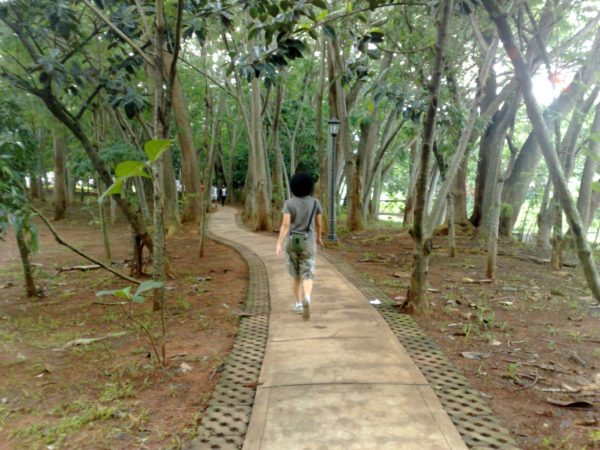 Taman Kota di Tangerang dengan Fasilitas Jogging Track Khusus